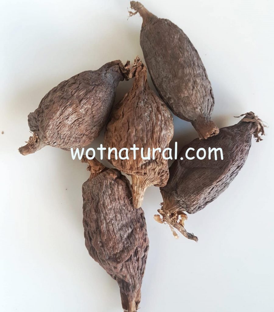 Organic Alligator Pepper Atare Ose Oji Very Hot / Spicy – Wot Natural