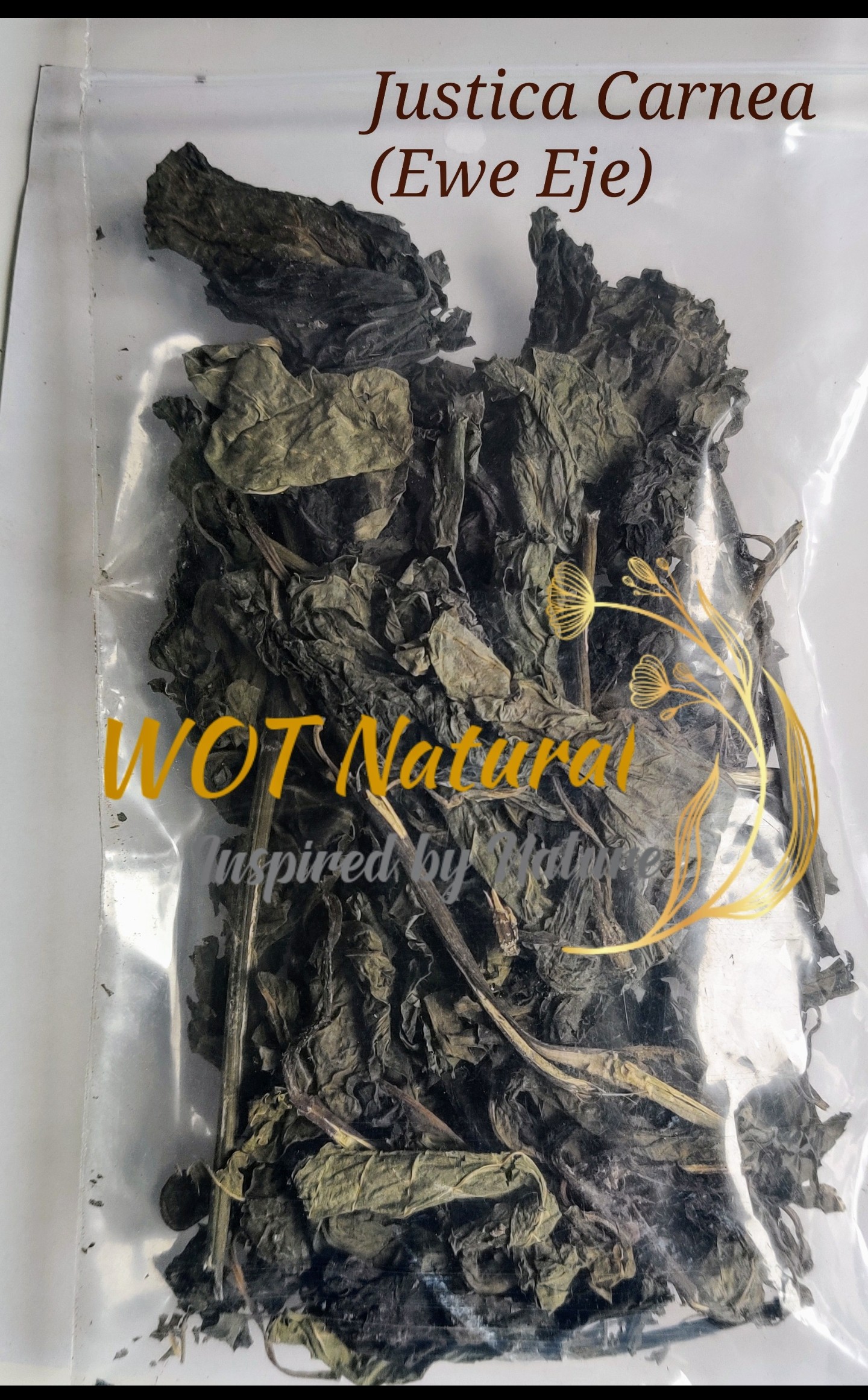 DRY JUSTICIA CARNEA | Ewe OOGUN Eje NATURAL BLOOD TONIC / OGWU OBARA ...